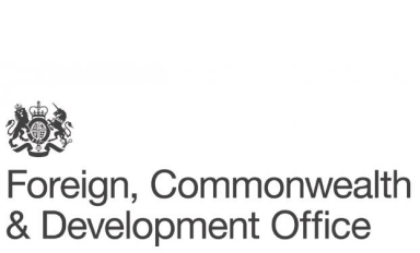 Pre-appointment BIM Execution Plan (BEP) Template - Global BIM Network